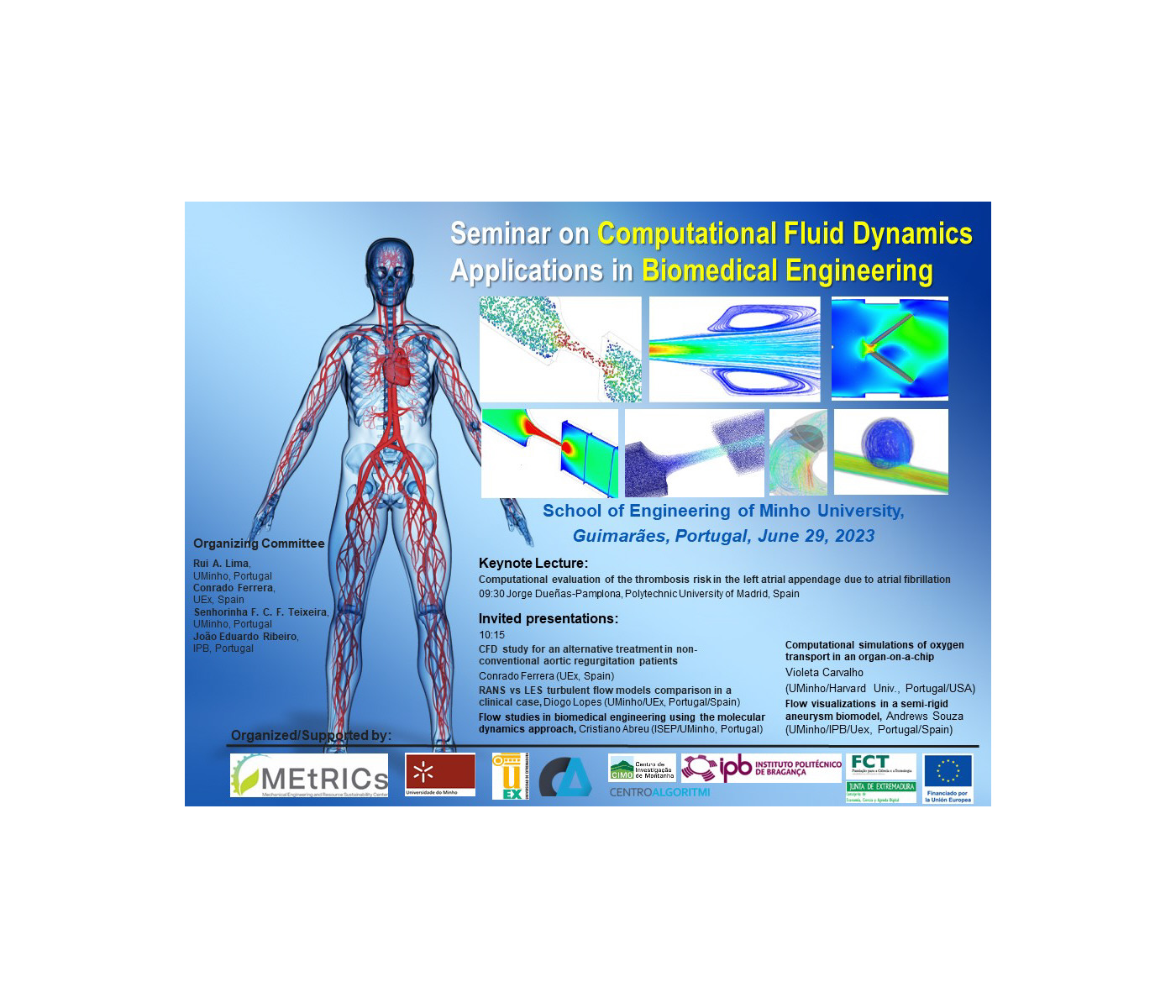 Seminar on Computational Fluid Dynamics Applications in Biomedical ... Seminar on Computational Fluid Dynamics Applications in Biomedical ...